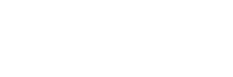 WWIS LLP : Leading Immigration Consultant in Delhi, India